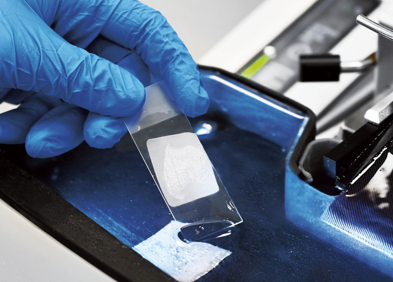 Water Bath Transport System WBTS